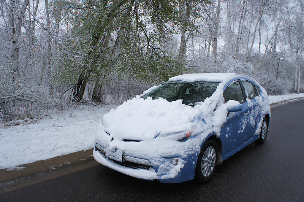 Index of /prius/photos/snow